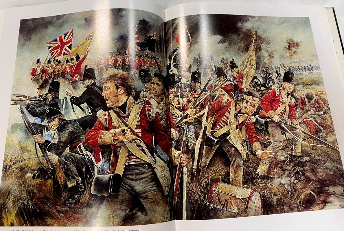 A Desperate Business-Wellington,The British Army & The Waterloo Campaign