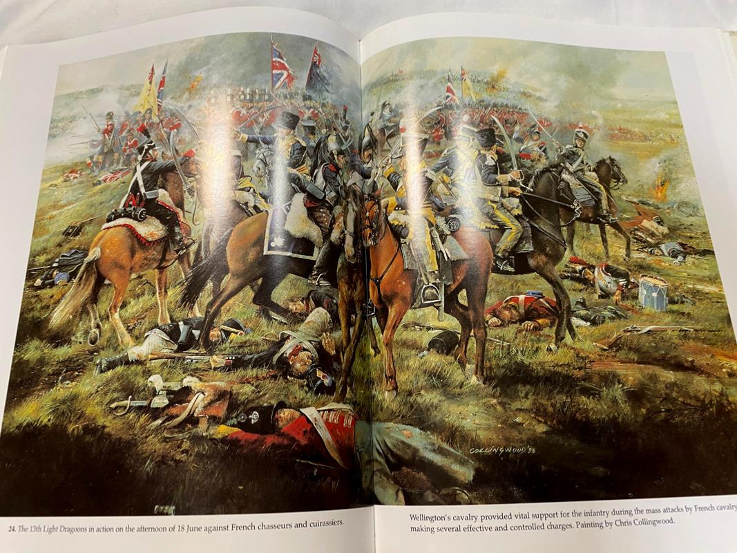 A Desperate Business-Wellington,The British Army & The Waterloo Campaign